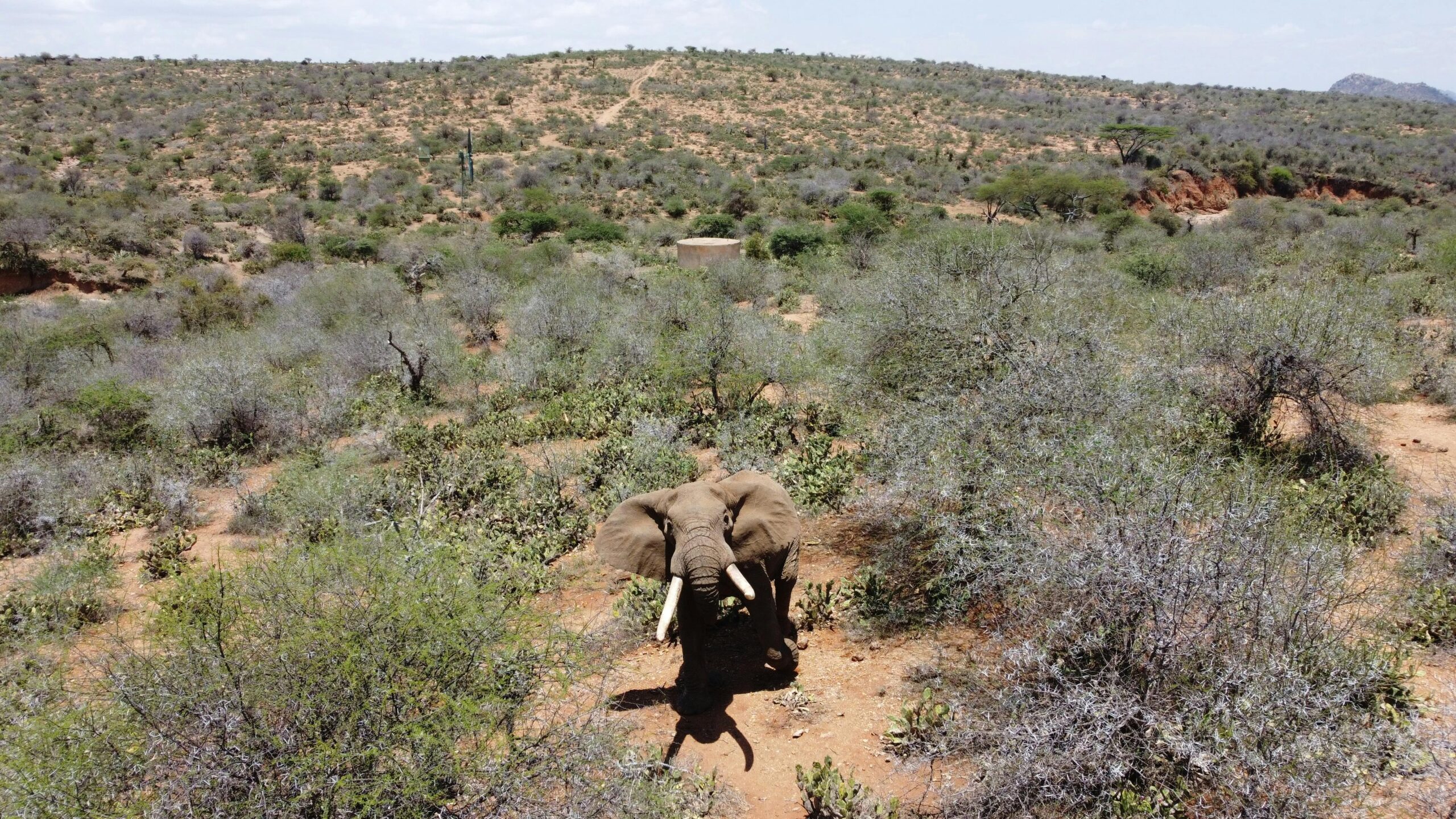 Exclusive Safari: Discovering Africa’s Hidden Safari Gems