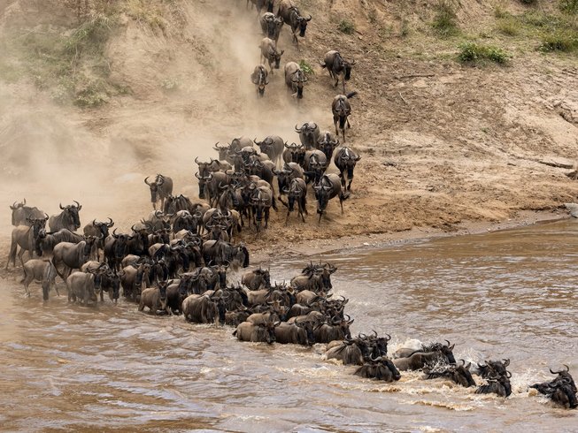 High-End African Wildlife Safaris: Luxury Safaris for the Serious ...