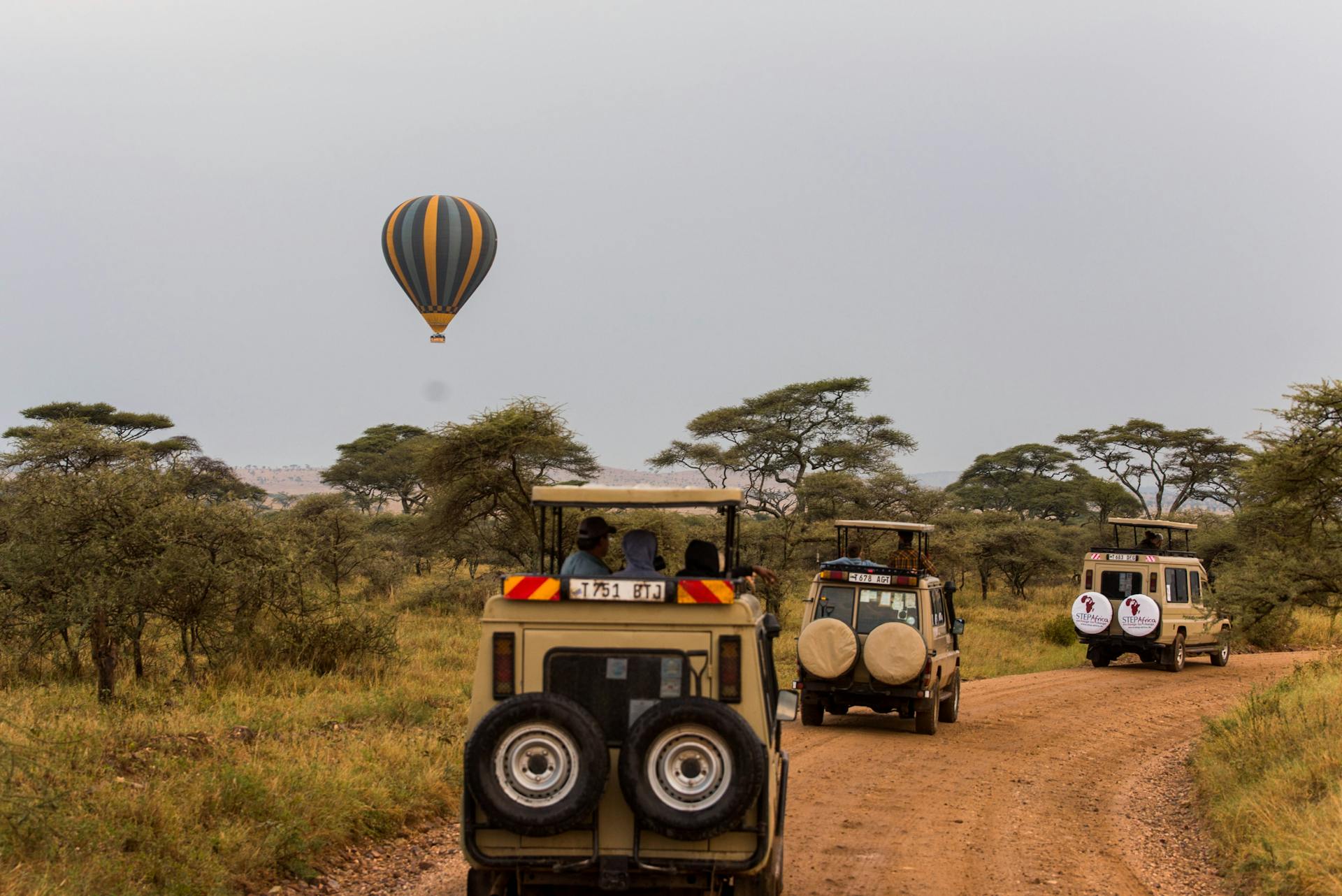 Day-to-Day Itinerary for a Luxury African Safari Trip